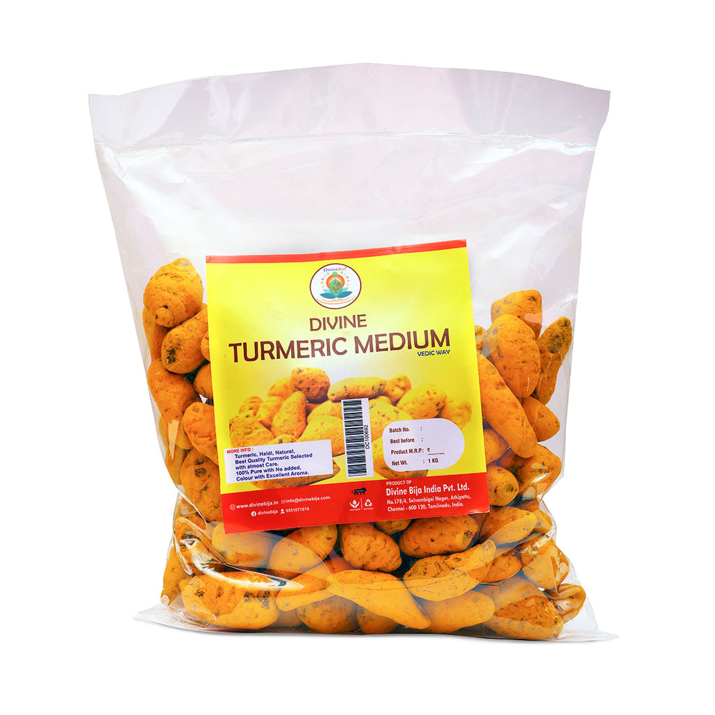 Turmeric Medium – DivineShip